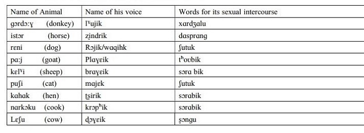 DYING WORDS AND NEW VOCABULARY of KHOWAR by Dr. Faizi